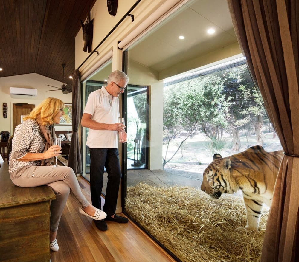 Safaris & Glamping - Hotels with Immersive Animal Encounters | Expedia